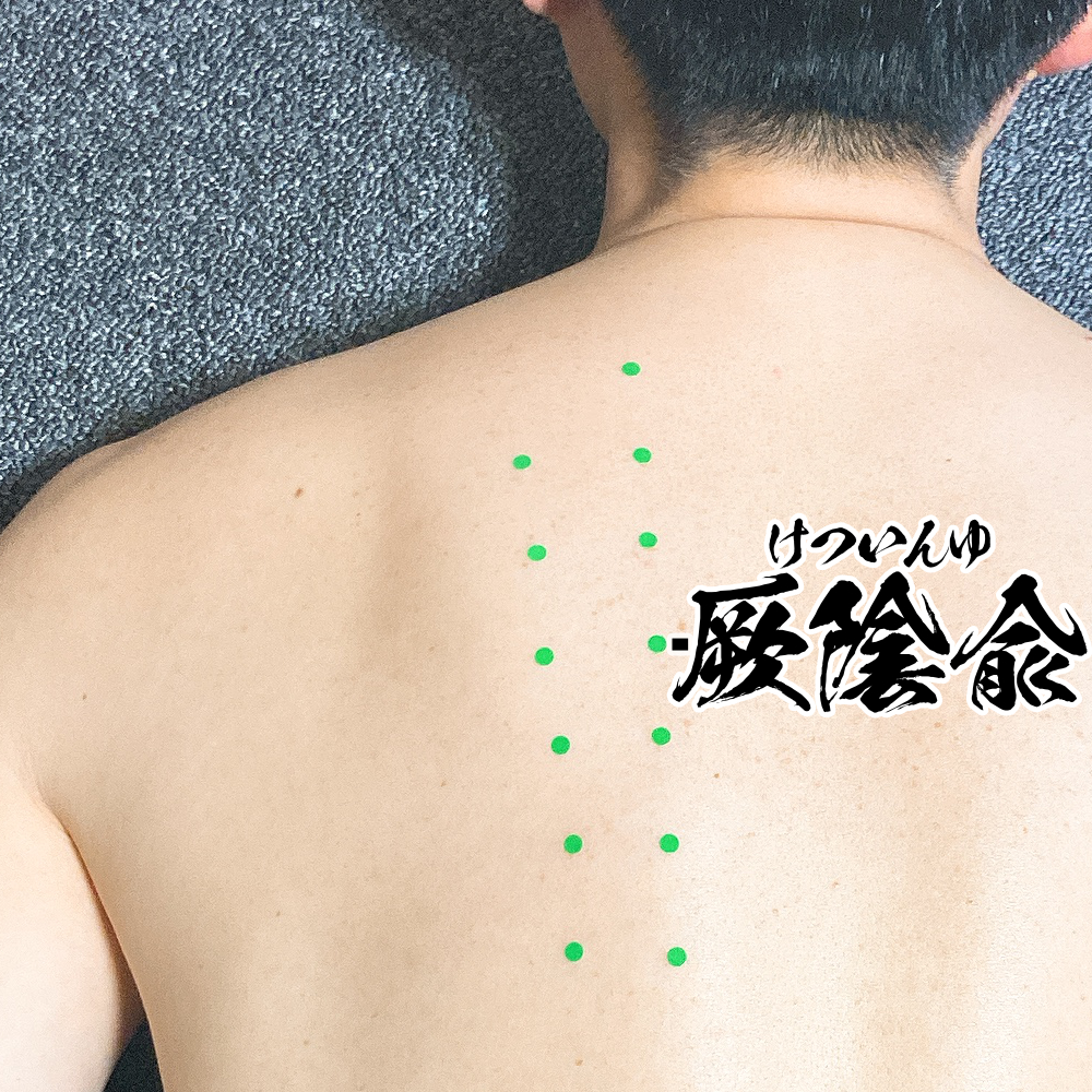 厥陰兪(けついんゆ)[BL14] - TSUBOLAB® [ ツボラボ® ]