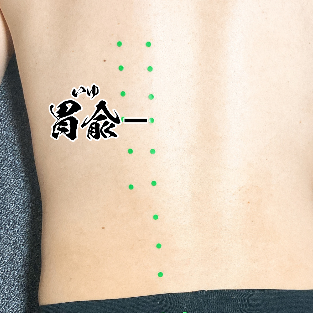 胃兪(いゆ)[BL21] - TSUBOLAB® [ ツボラボ® ]