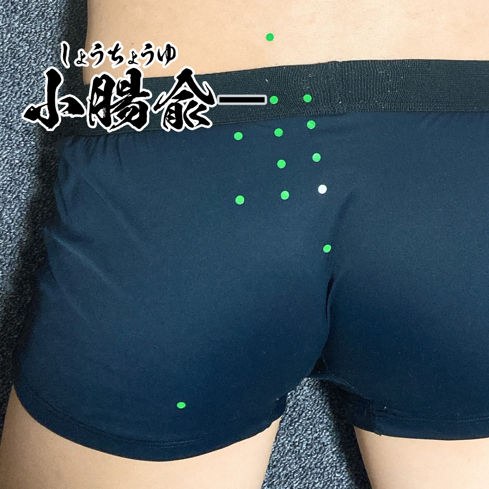 小腸兪(しょうちょうゆ)[BL27] - TSUBOLAB® [ ツボラボ® ]