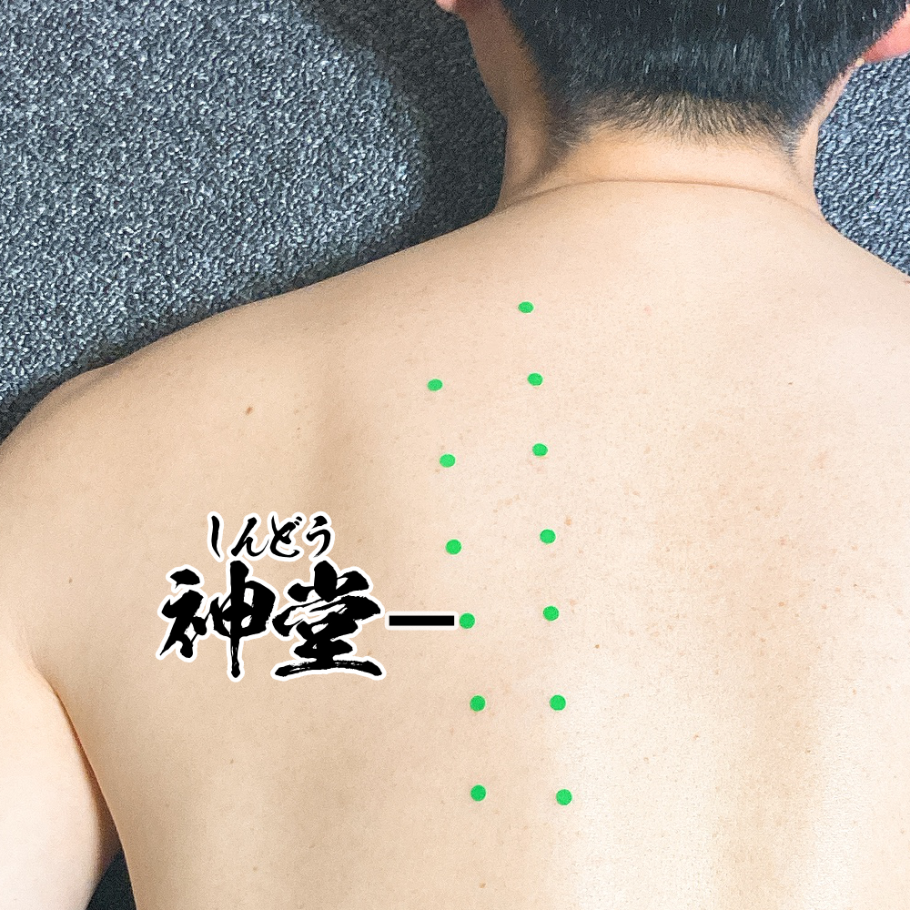 神堂(しんどう)[BL44] - TSUBOLAB® [ ツボラボ® ]