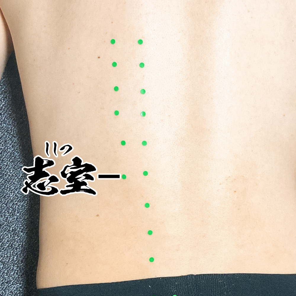 志室(ししつ)[BL52] - TSUBOLAB® [ ツボラボ® ]