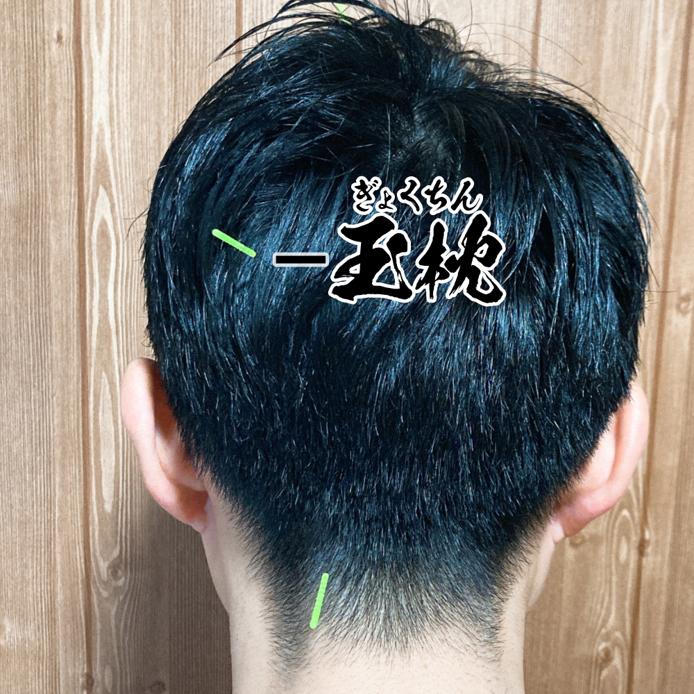 玉枕(ぎょくちん)[BL9] - TSUBOLAB® [ ツボラボ® ]