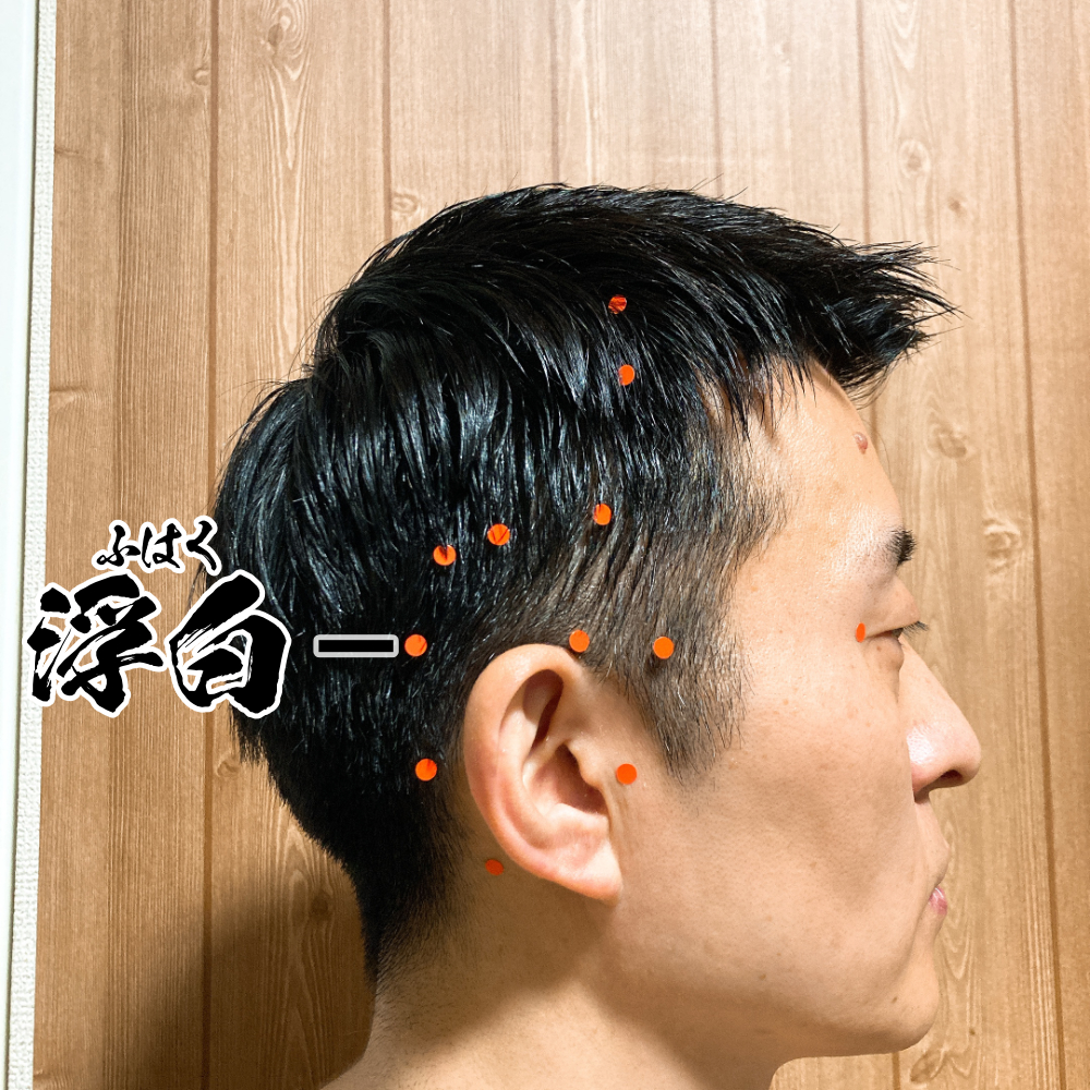 浮白(ふはく)[GB10] - TSUBOLAB® [ ツボラボ® ]