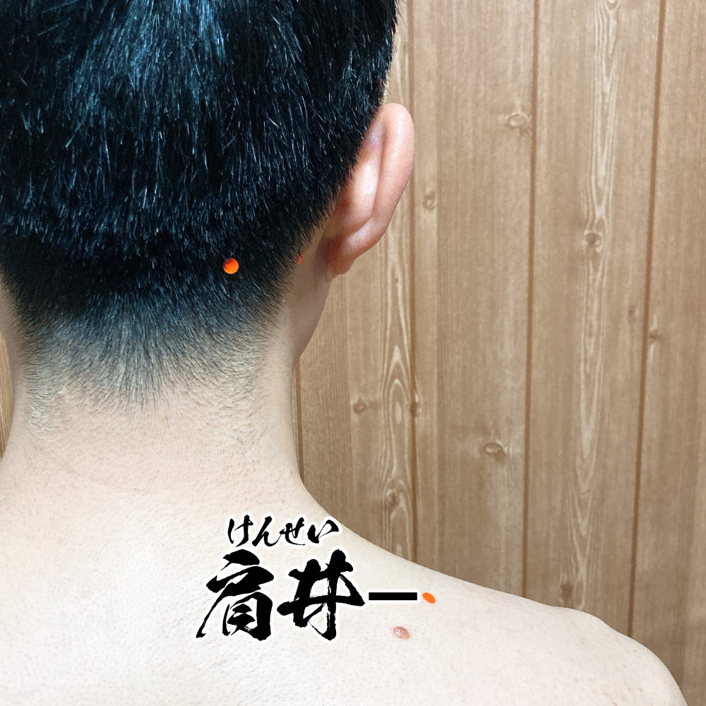 肩井(けんせい)[GB21] - TSUBOLAB® [ ツボラボ® ]