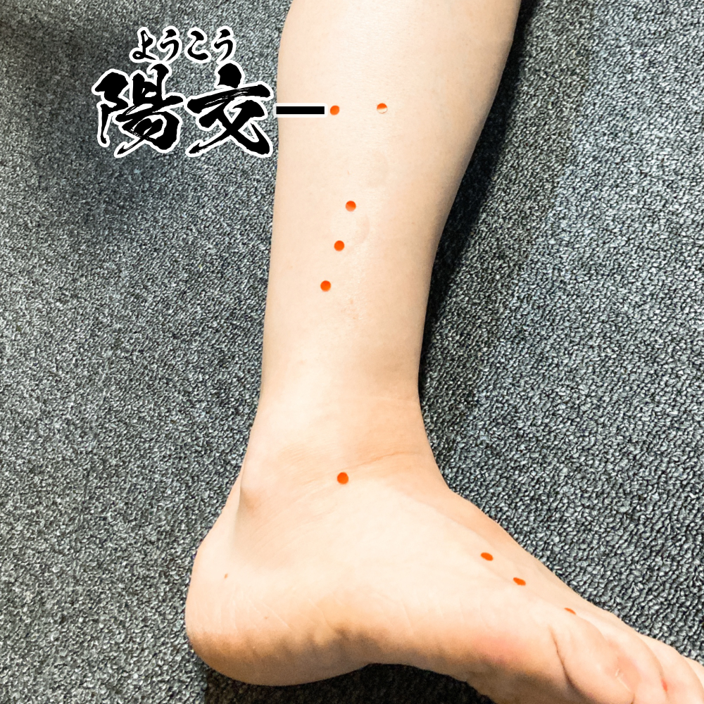 陽交(ようこう)[GB35] - TSUBOLAB® [ ツボラボ® ]