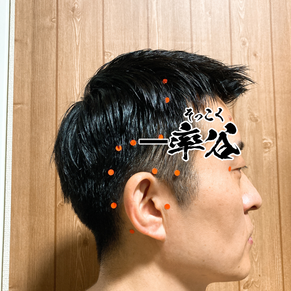 率谷(そっこく)[GB8] - TSUBOLAB® [ ツボラボ® ]