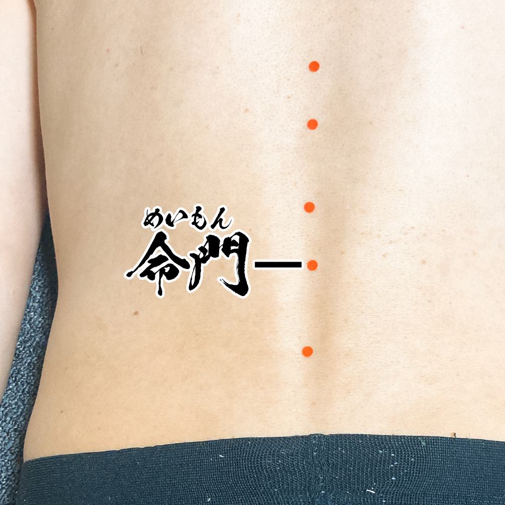 命門(めいもん)[GV4] - TSUBOLAB® [ ツボラボ® ]