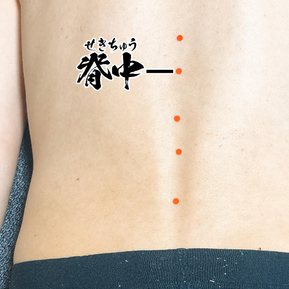 脊中(せきちゅう)[GV6] - TSUBO LAB [ ツボラボ ]