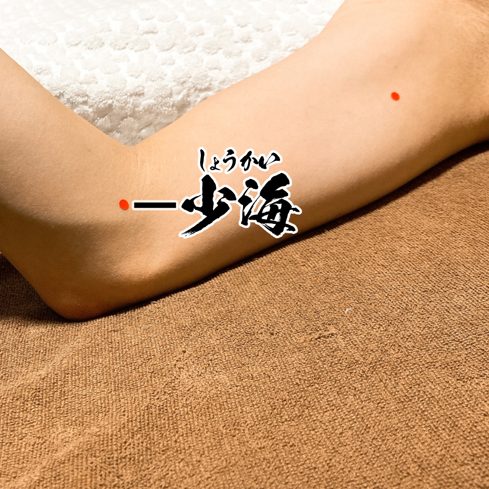 少海(しょうかい)[HT3] - TSUBOLAB® [ ツボラボ® ]