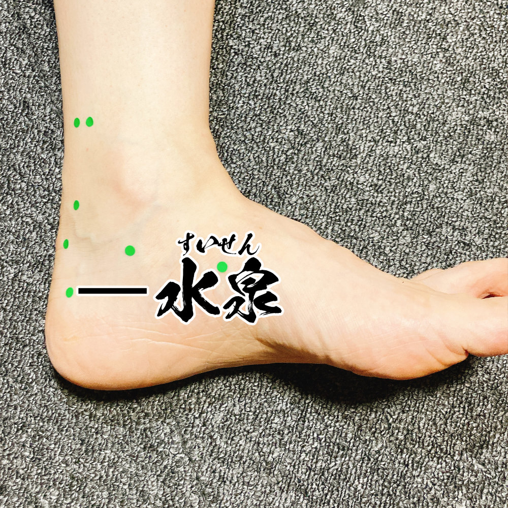 水泉(すいせん)[KI5] - TSUBOLAB® [ ツボラボ® ]