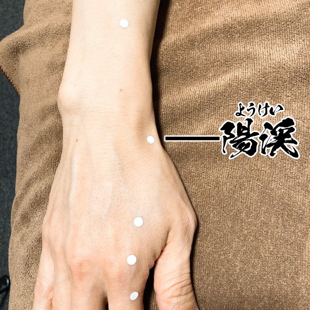 陽渓(ようけい)[LI5] - TSUBOLAB® [ ツボラボ® ]