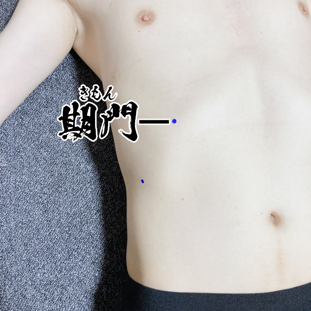 期門(きもん)[LR14] - TSUBOLAB® [ ツボラボ® ]