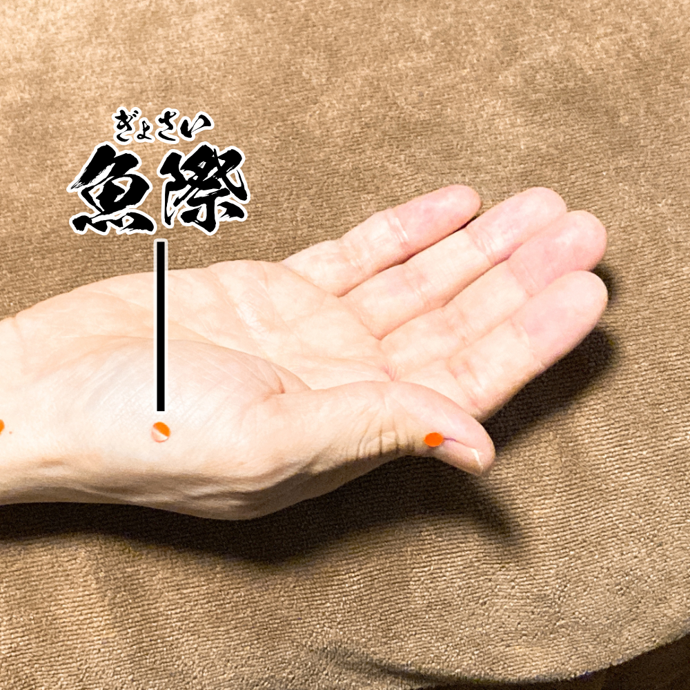 魚際(ぎょさい)[LU10] - TSUBOLAB® [ ツボラボ® ]