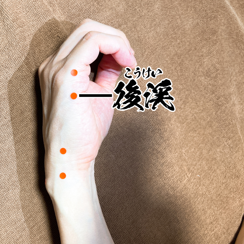 後渓(こうけい)[SI3] - TSUBOLAB® [ ツボラボ® ]