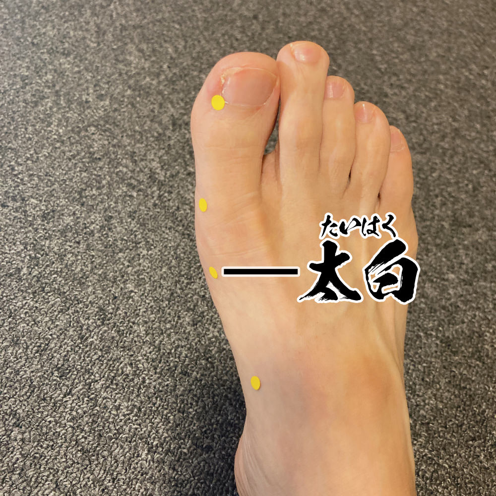 太白(たいはく)[SP3] - TSUBO LAB [ ツボラボ ]