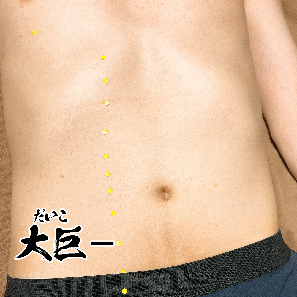 大巨(だいこ)[ST27] - TSUBO LAB[ツボラボ]