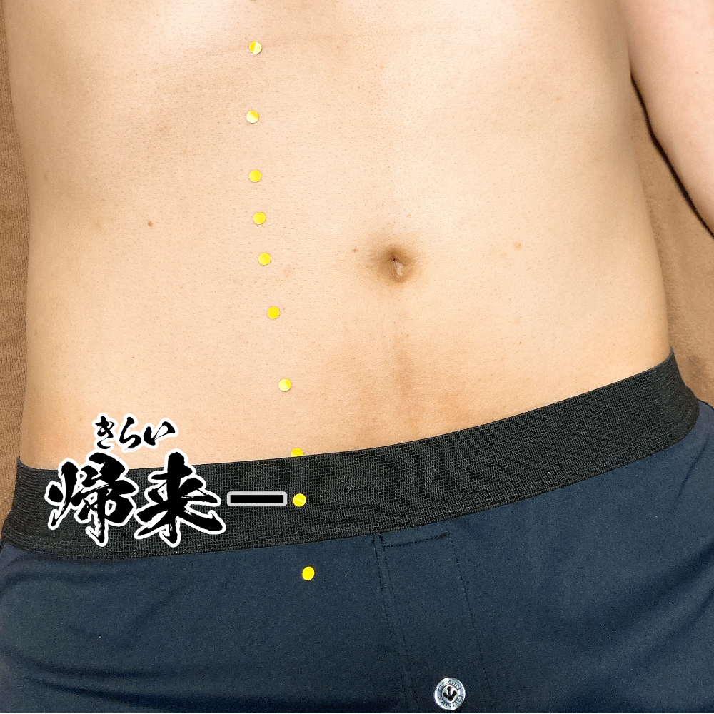 帰来(きらい)[ST29] - TSUBOLAB® [ ツボラボ® ]