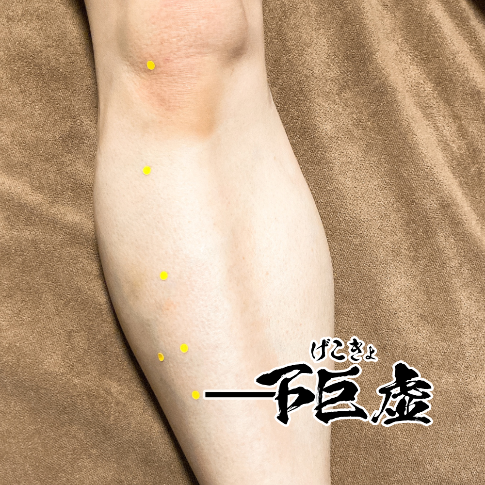 下巨虚 - tsubolab