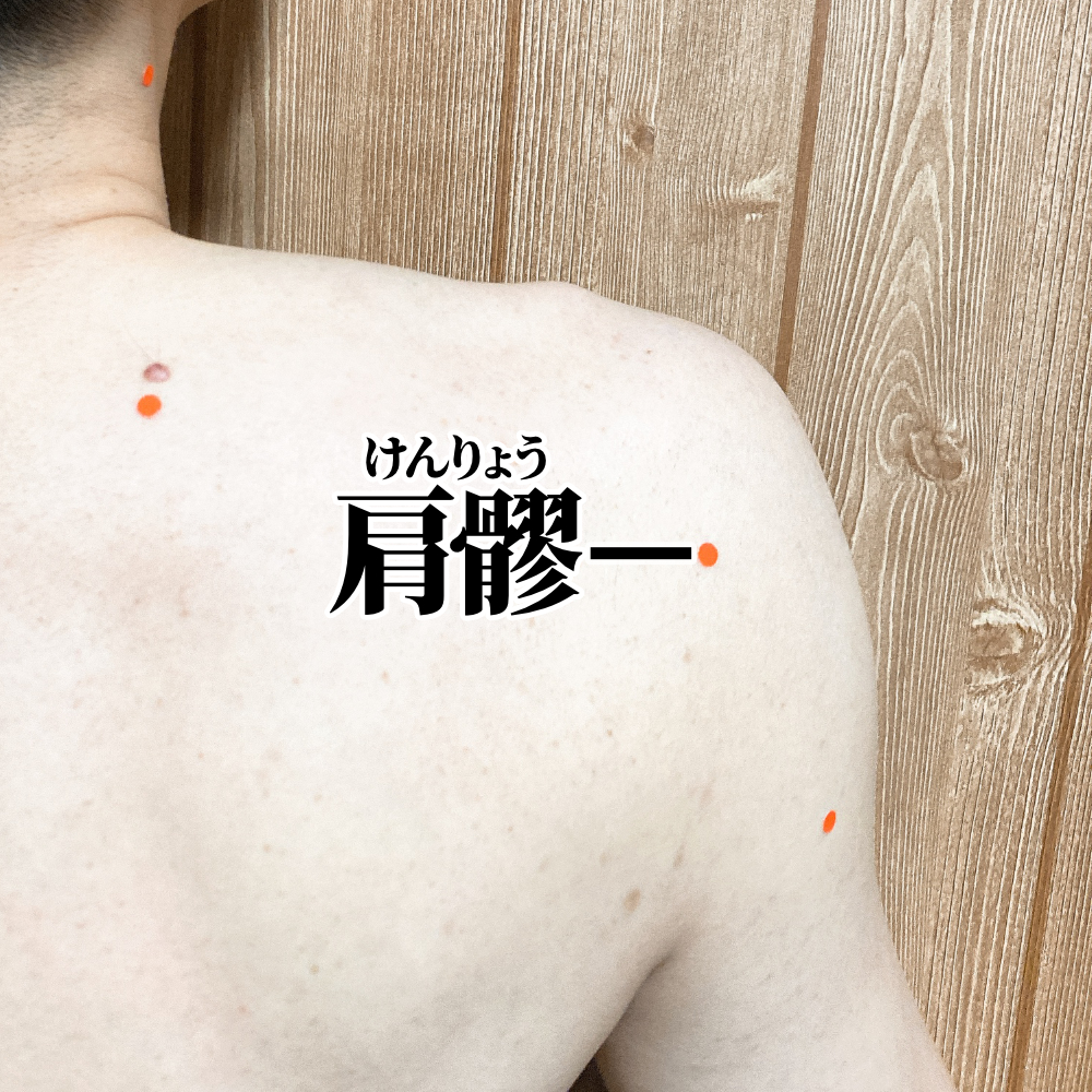 肩髎 - tsubolab