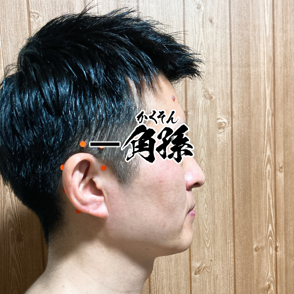 角孫(かくそん)[TE20] - TSUBOLAB® [ ツボラボ® ]