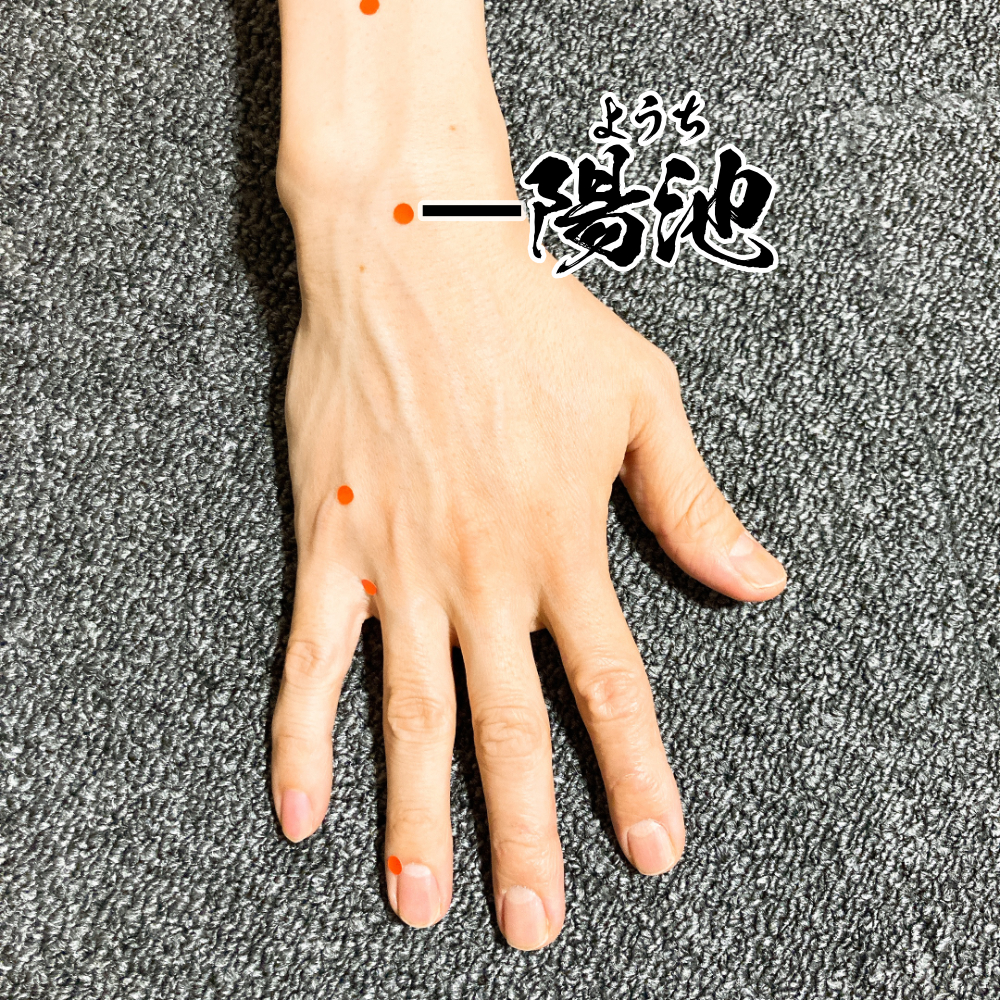 陽池(ようち)[TE4] - TSUBOLAB® [ ツボラボ® ]